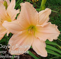 Grace Gardens- A Portion of Price List